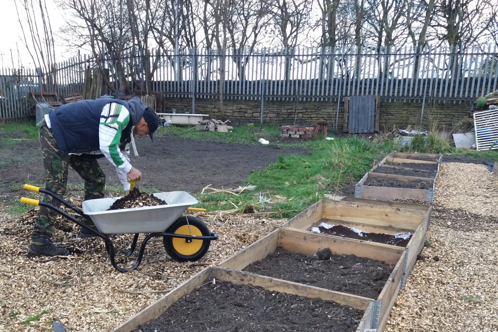 Projects - Real Life Options